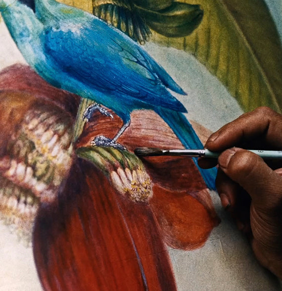 WILD WONDERFUL WORLD